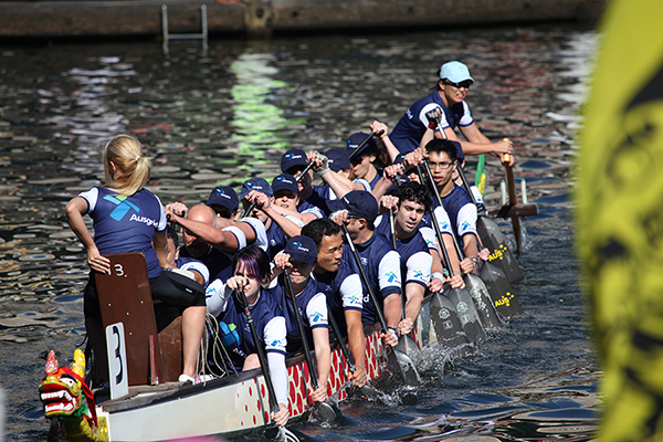 Corporate dragon boat training - Blackwattle Bay Dragon Boat Club